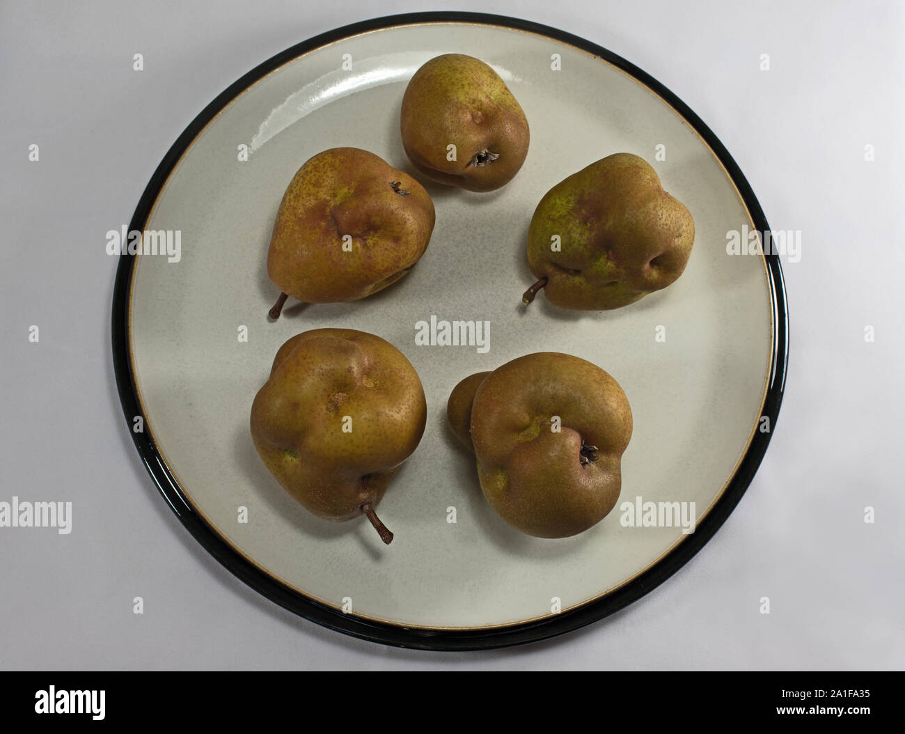 Stony pit virus pear hi-res stock photography and images - Alamy