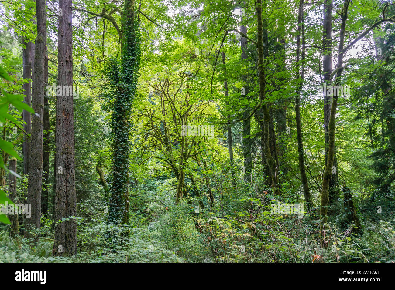 Priest point park hi-res stock photography and images - Alamy