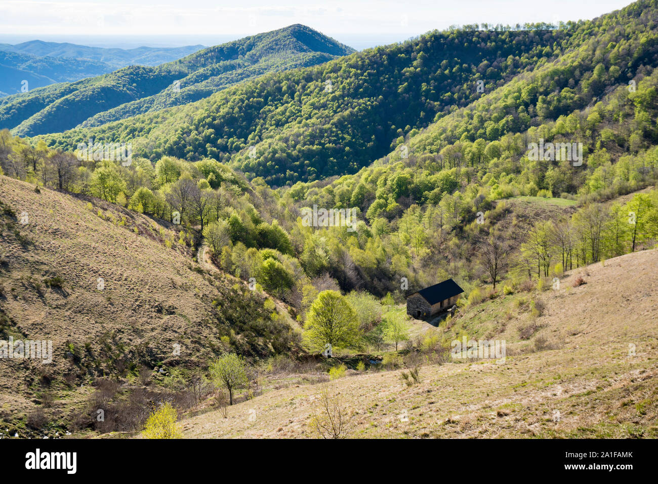 Countryside panorama in springtime hi-res stock photography and images ...
