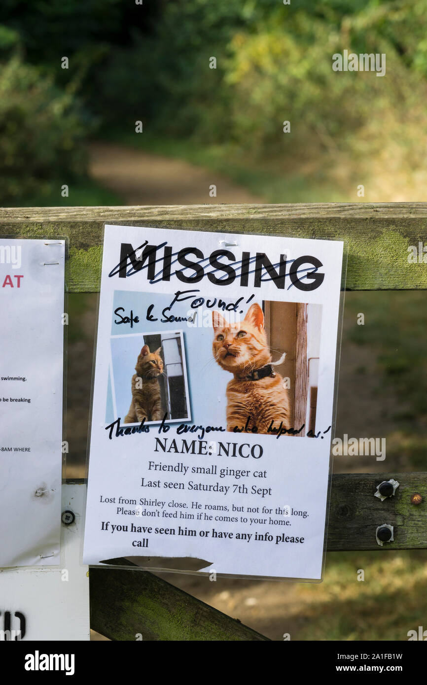 Contact details removed hi-res stock photography and images - Alamy