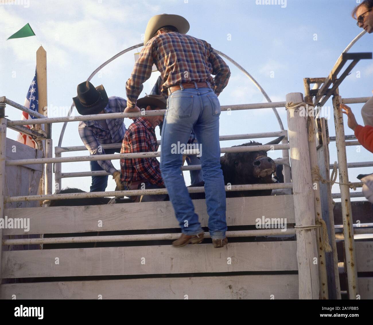 FILMACION DE UN ANUNCIO - RODEO AMERICANO CON COWBOYS Stock Photo - Alamy