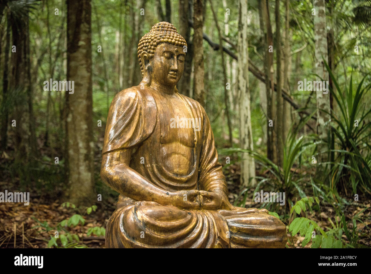 Side View Of Buddha High Resolution Stock Photography and Images - Alamy