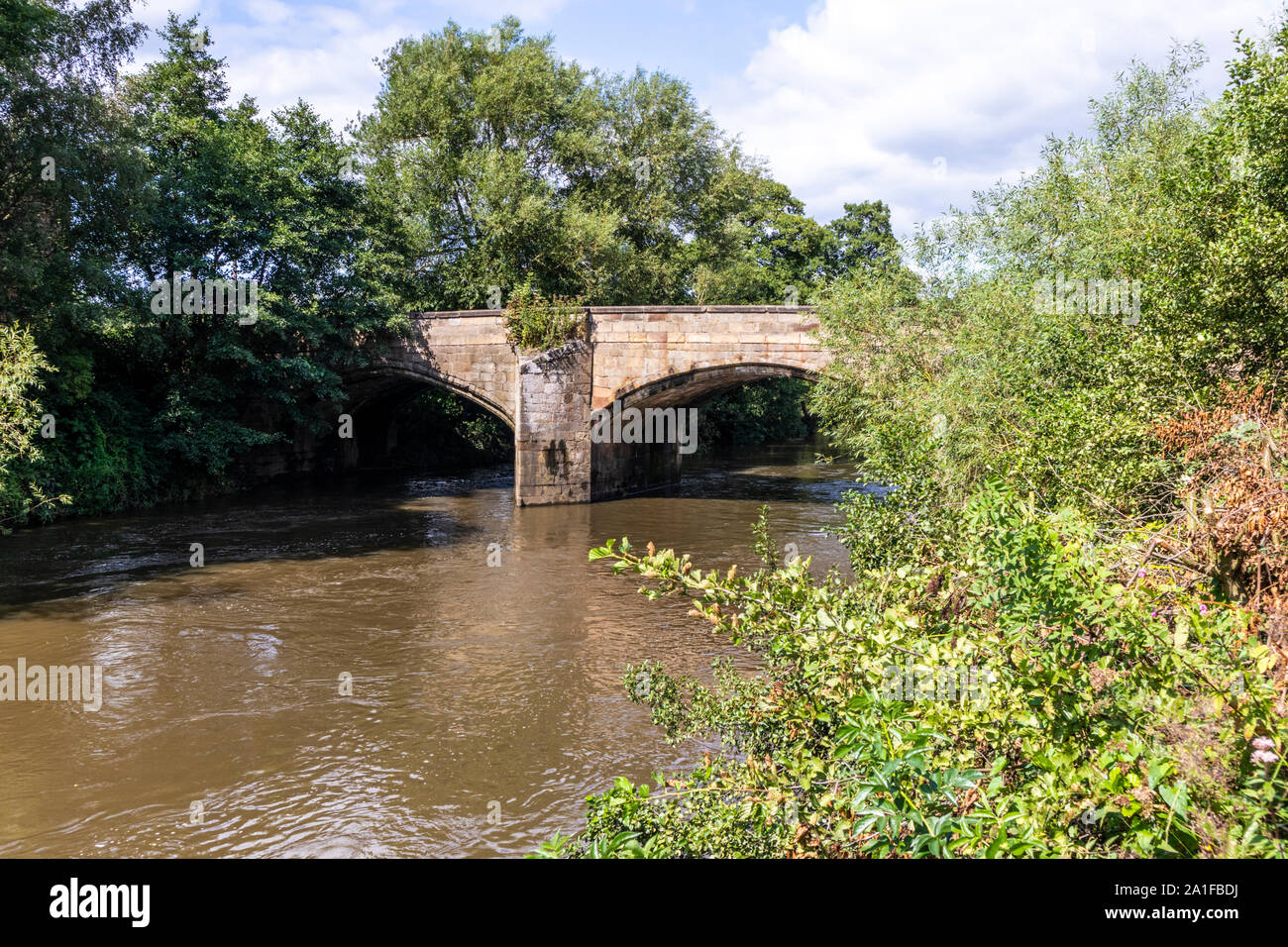 Summer at duffield hi-res stock photography and images - Alamy