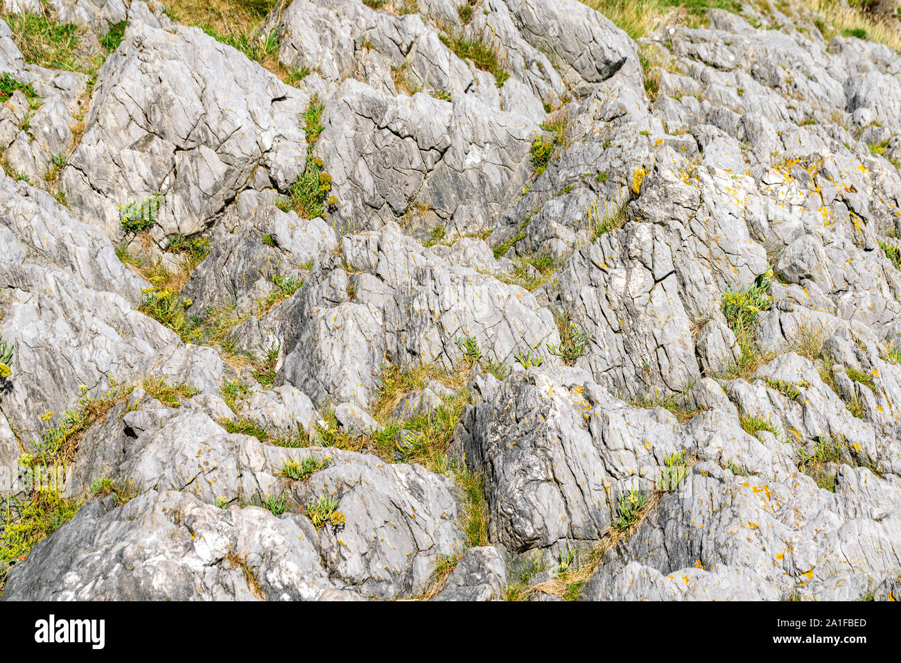 Opportunistic growth hi-res stock photography and images - Alamy