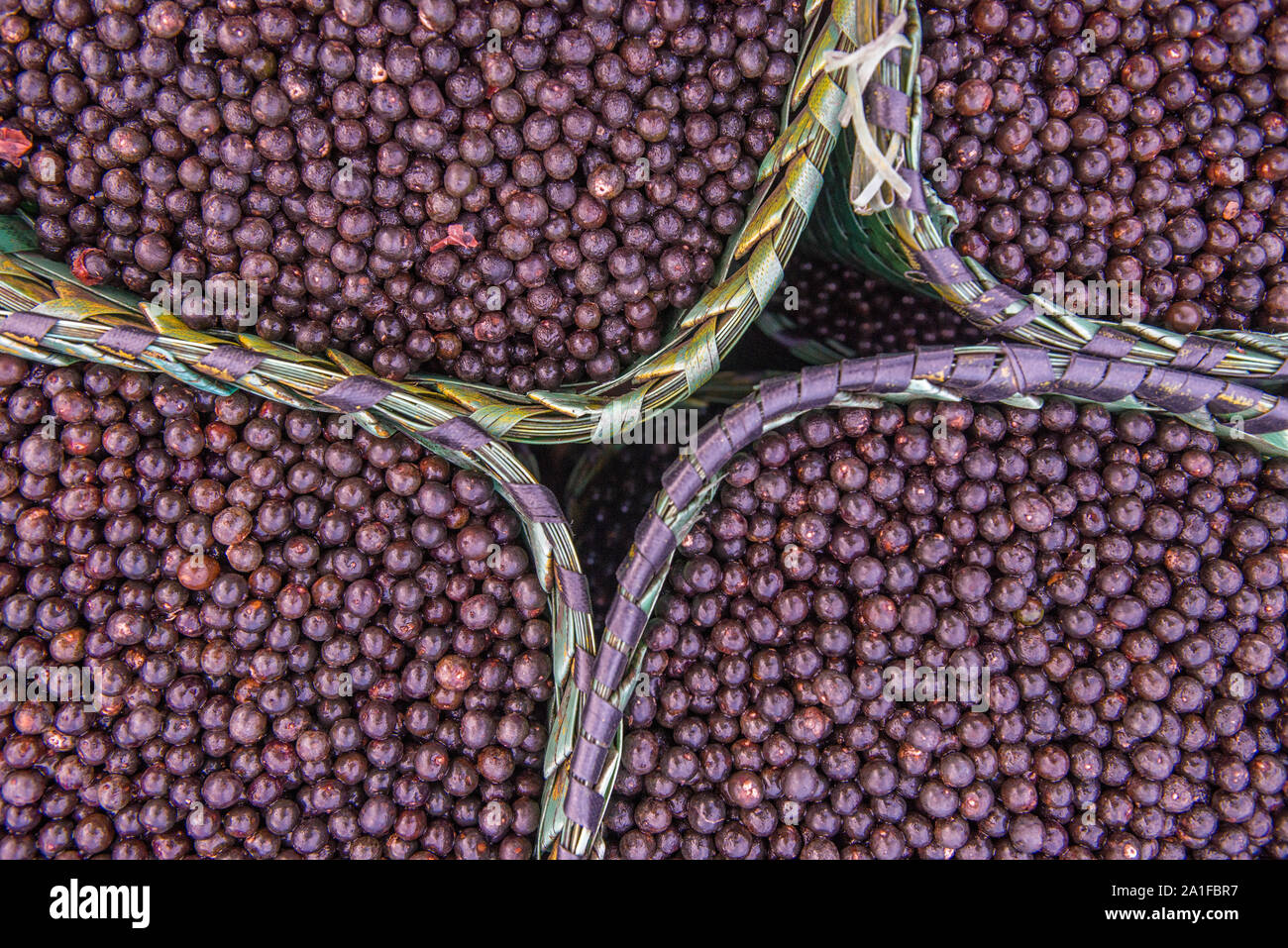 Acai Berries, an exotic fruit from Amazon, on baskets Stock Photo - Alamy