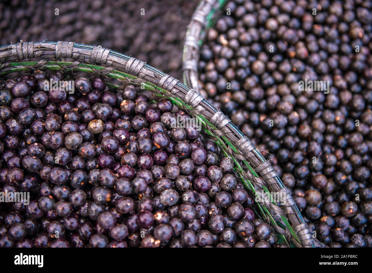Acai Berries, an exotic fruit from Amazon, on baskets Stock Photo - Alamy