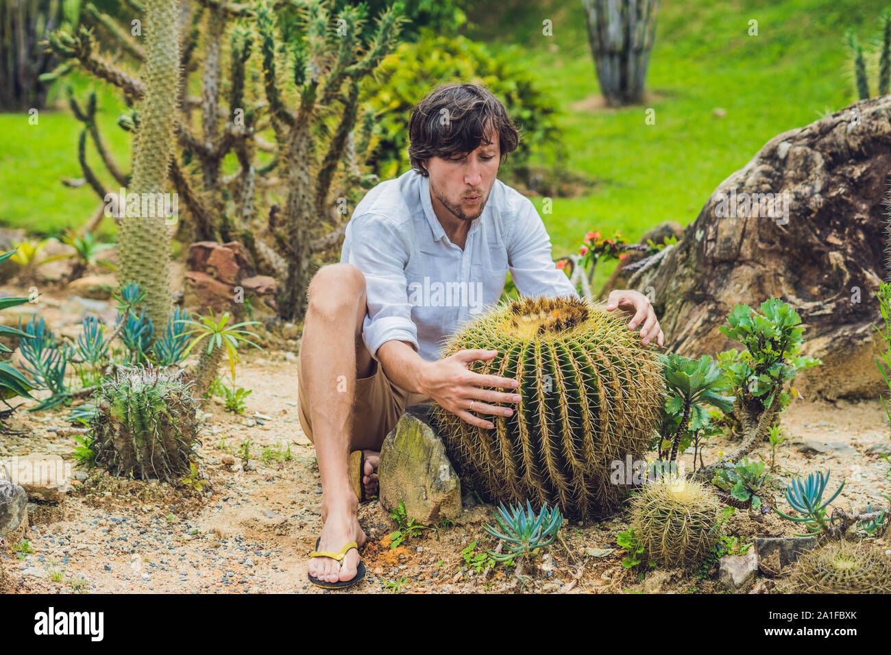 A man is sitting among large cacti. Pain concept Stock Photo - Alamy