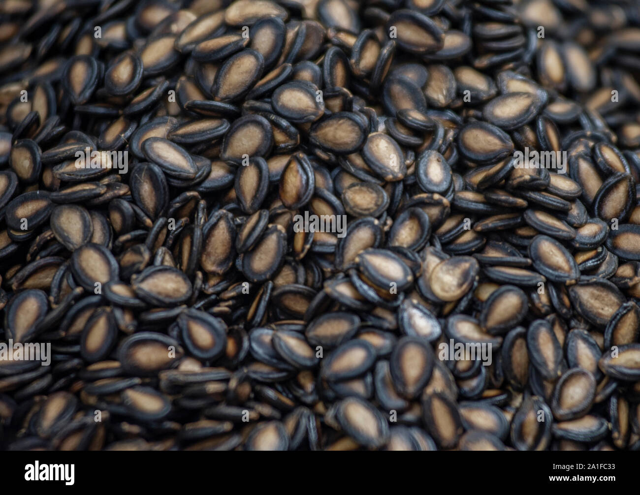 Sunflower seeds full frame Stock Photo - Alamy