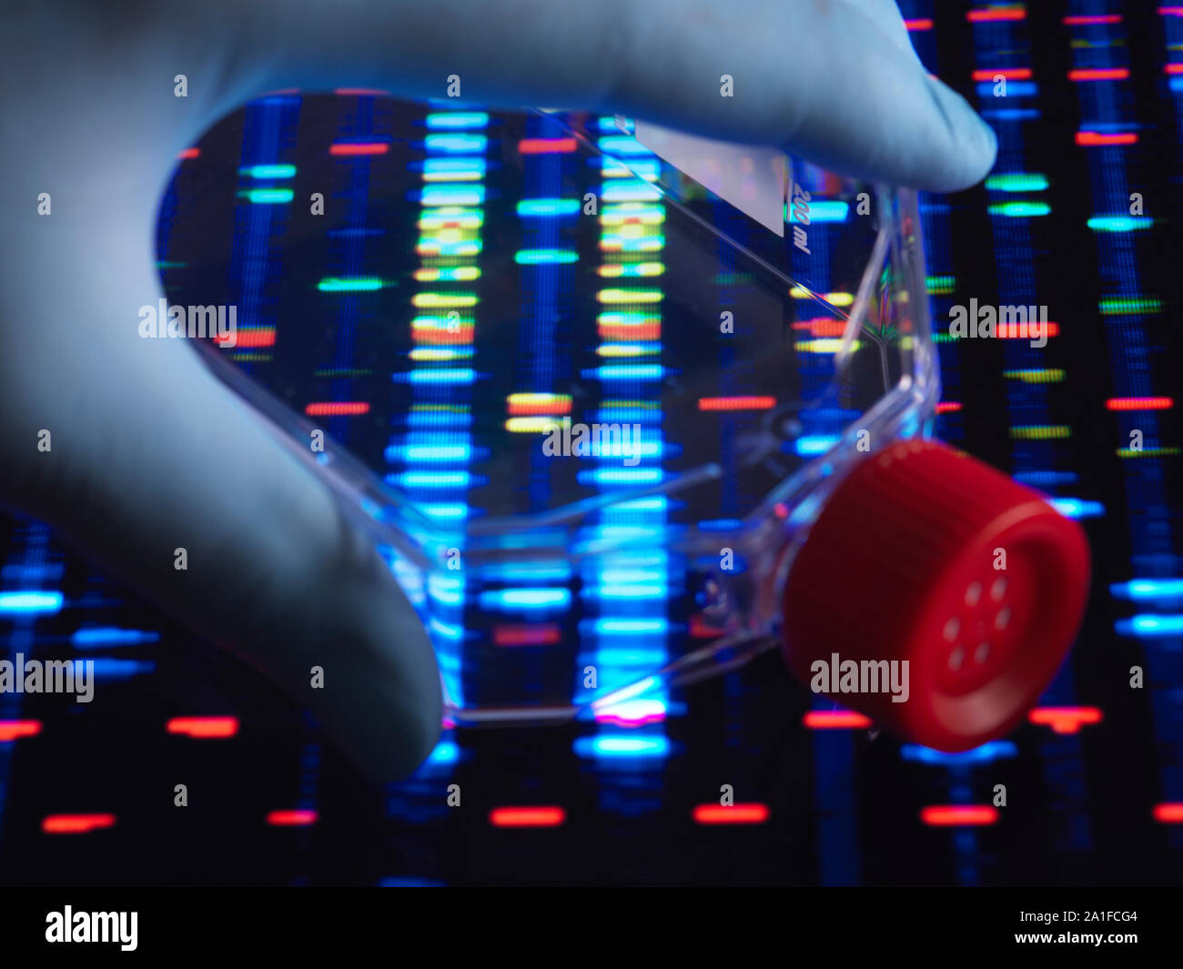 Dna profile hi-res stock photography and images - Alamy