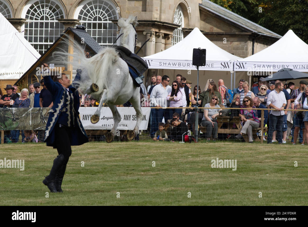 horse being asked to do the capriole, "leap of the goat Stock Photo - Alamy