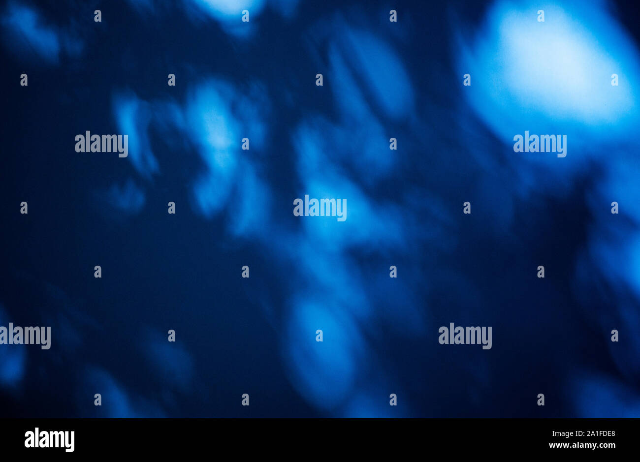 abstract image of dark shadows of tree branches on yellow blue and red ...