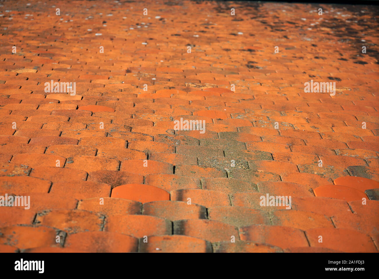 Roof tiles made of baked clay are particularly beautiful and durable on ...