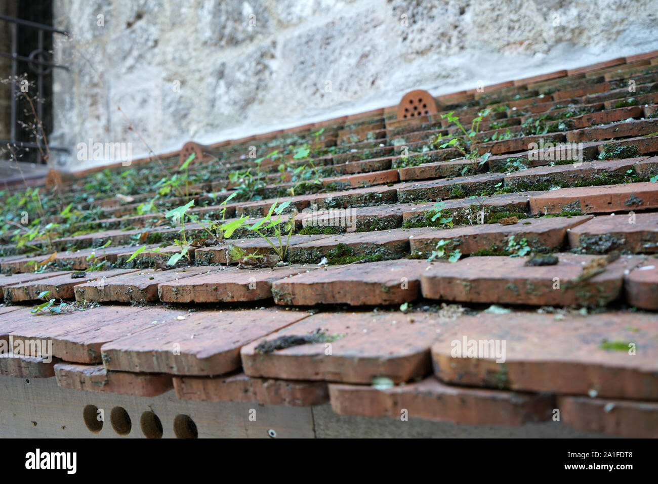 Roof tiles made of baked clay are particularly beautiful and durable on ...