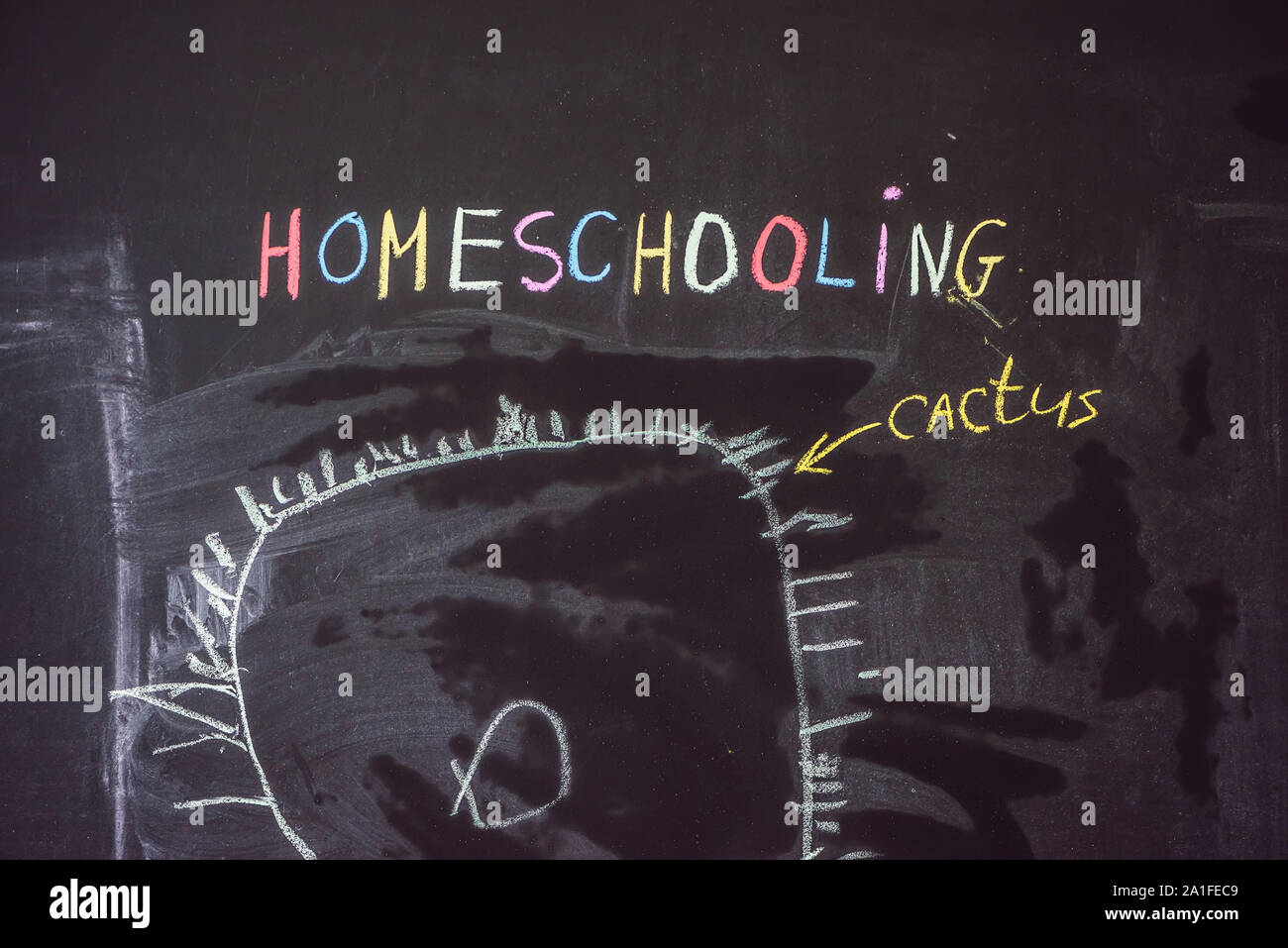 Homeschooling. The boy is drawing under word Homeschooling on a ...