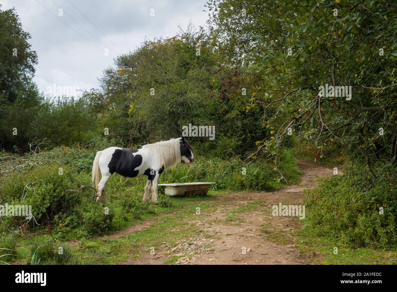 Pathway pathways hi-res stock photography and images - Alamy