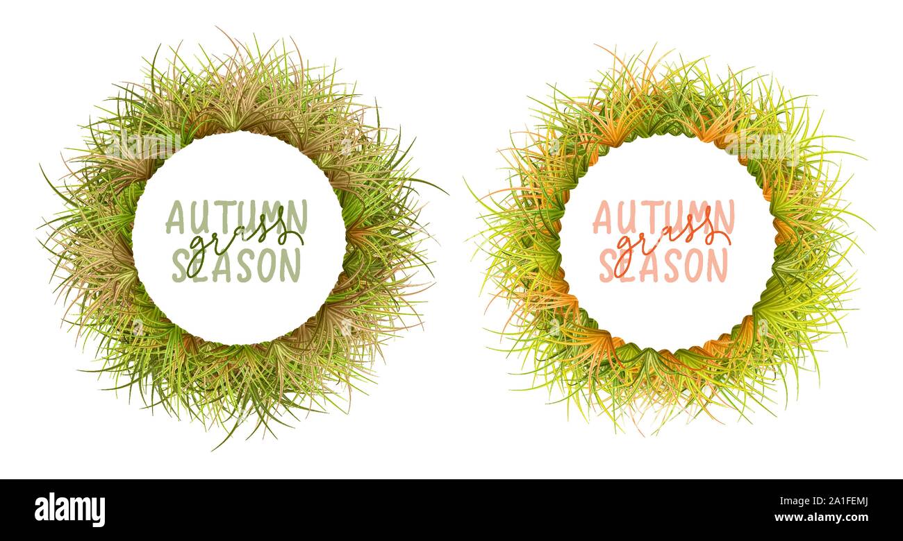 Vector Grass Frame Stock Vector Image & Art - Alamy