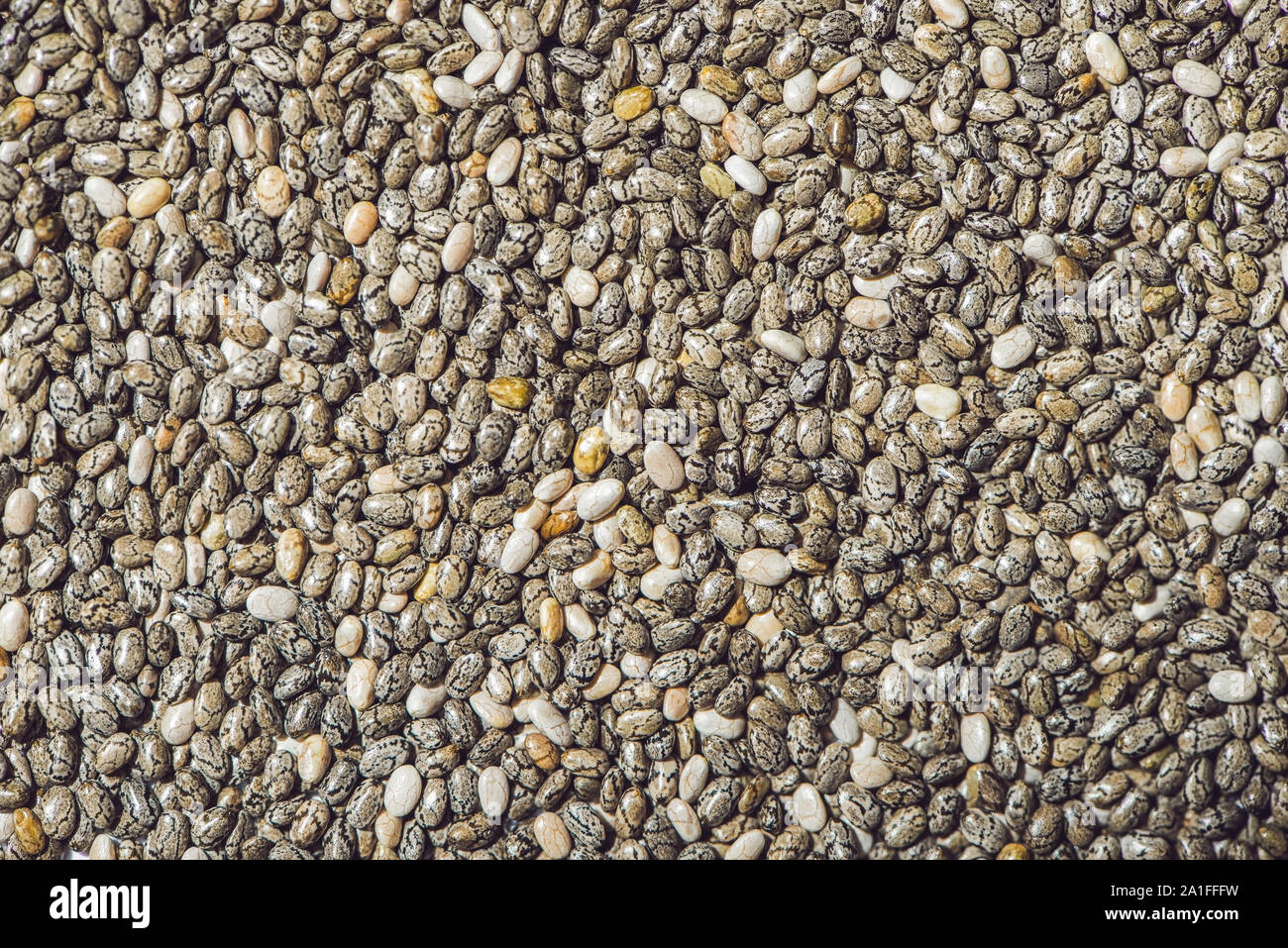 Close up chia seed as texture background Stock Photo - Alamy