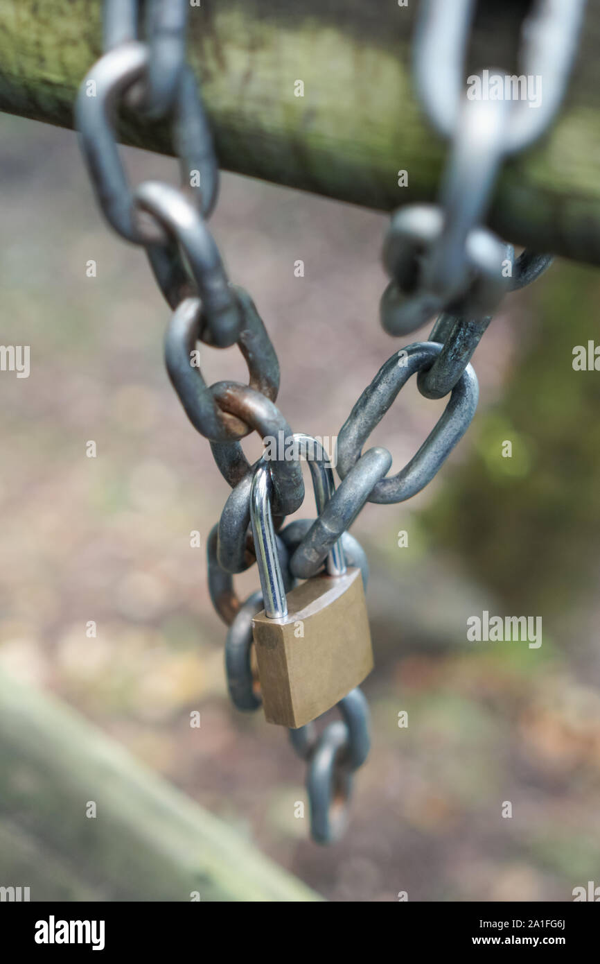 Carcass log hi-res stock photography and images - Alamy