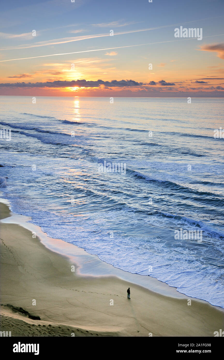 Santa cruz nightlife hi-res stock photography and images - Alamy