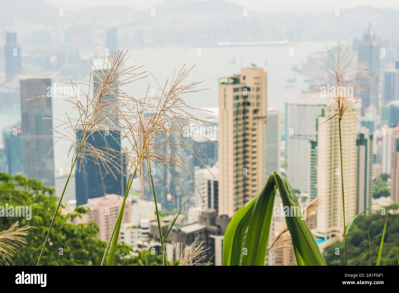 Hong Kong skyline. View from Victoria Peak Stock Photo - Alamy