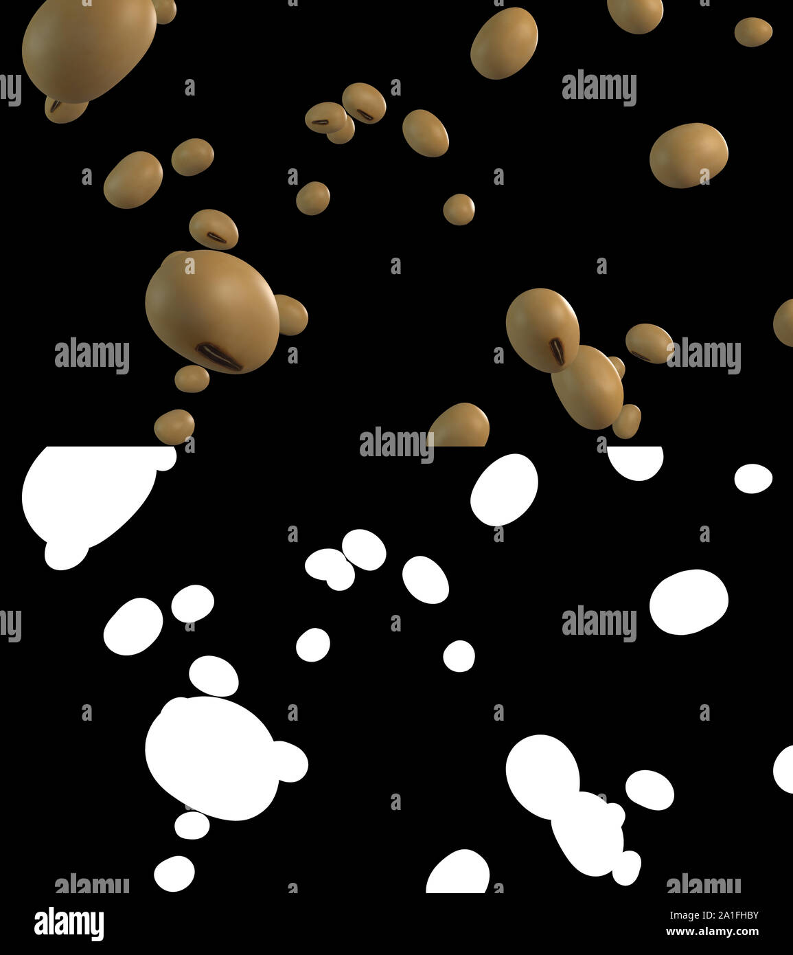 3D illustration of a soybean flow with alpha layer Stock Photo - Alamy