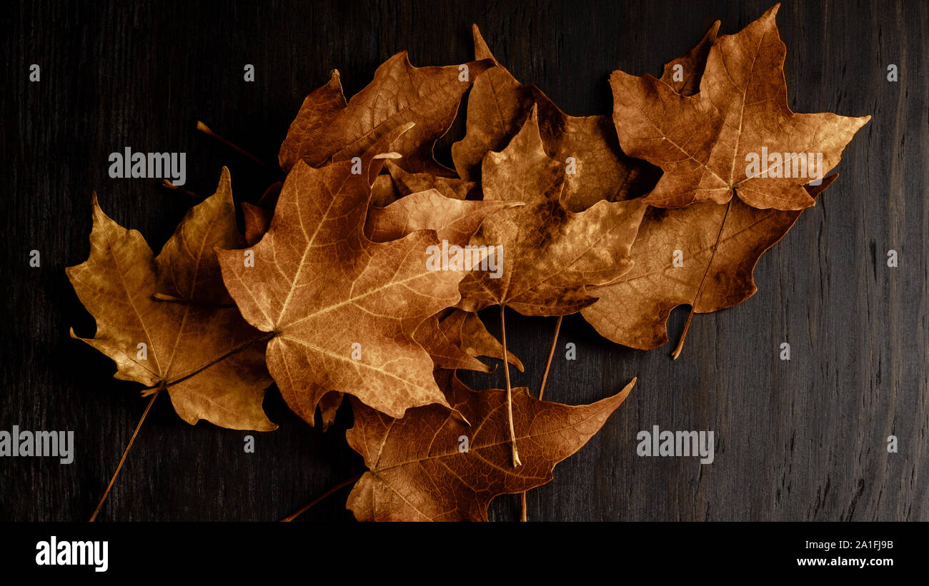 brown maple leaves on dark wood background Stock Photo - Alamy