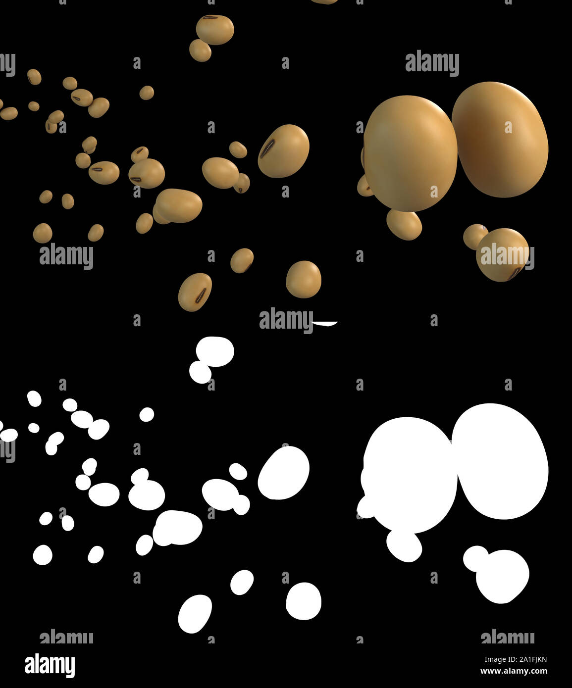 3D illustration of a soybean flow with alpha layer Stock Photo - Alamy