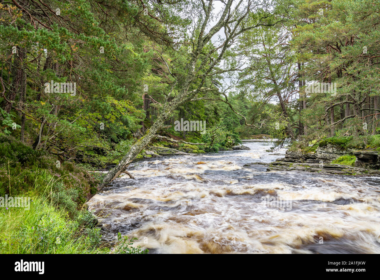 River Dee, Linn of Dee, Mar Lodge Estate, Aberdeenshire, Scotland Stock ...