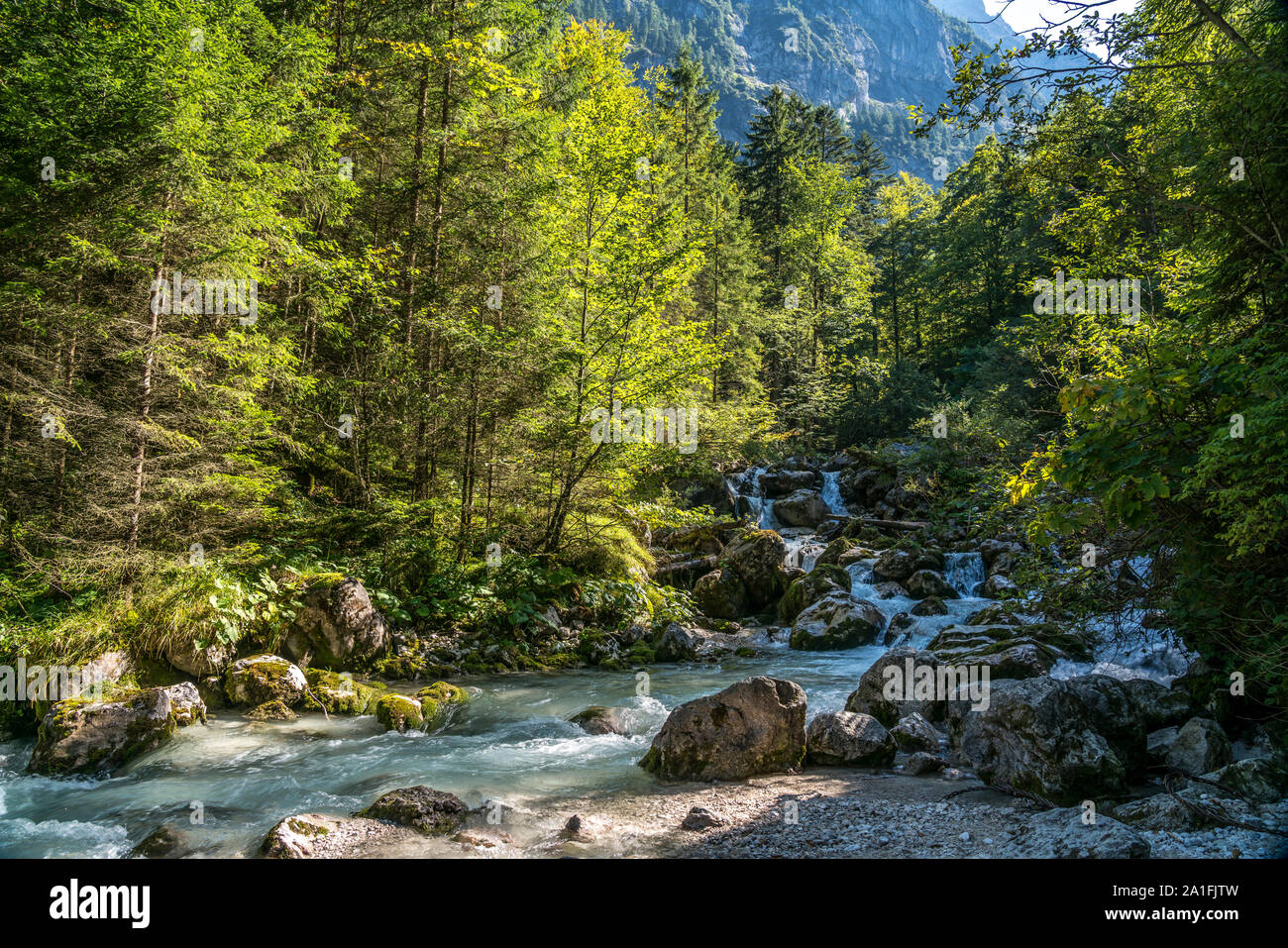 Der Hammersbach im Höllental bei Grainau, Garmisch-Partenkirchen ...