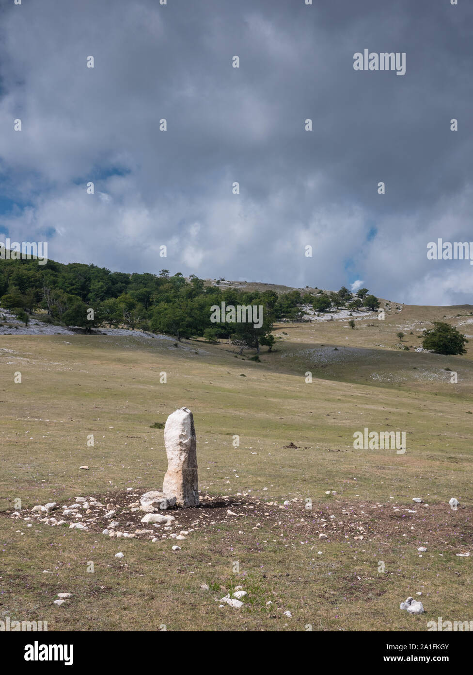 Menhir monolith megalith stone hi-res stock photography and images - Alamy