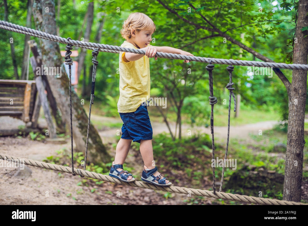 Portrait of cute little boy walks on a rope bridge in an adventure rope ...