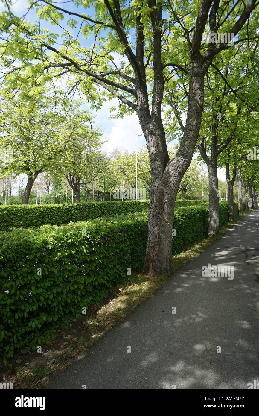 Well maintained park for recreation for all open in Germany Stock Photo ...