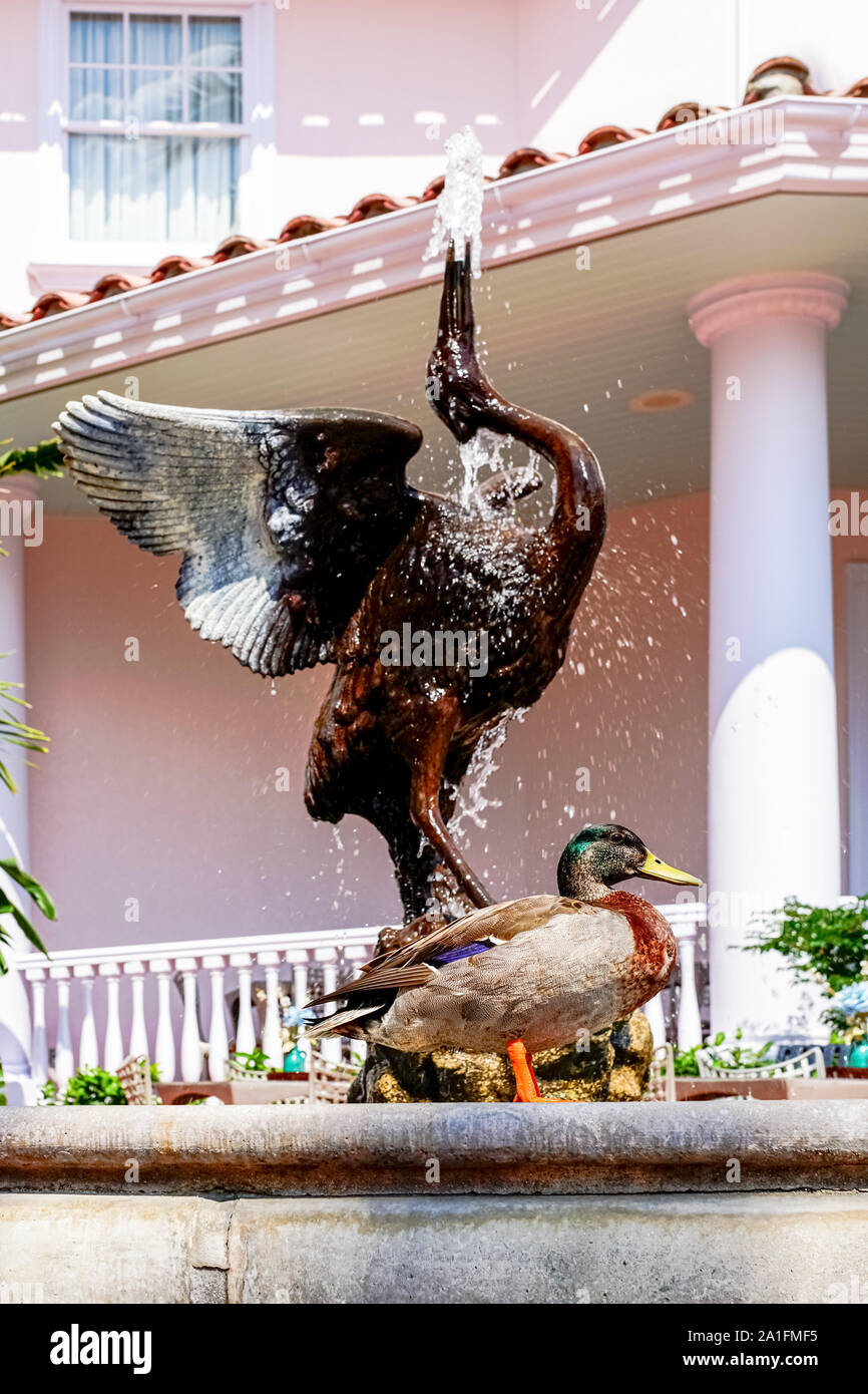 Duck Stands Near a Crane Statue in Orlando Florida Stock Photo - Alamy