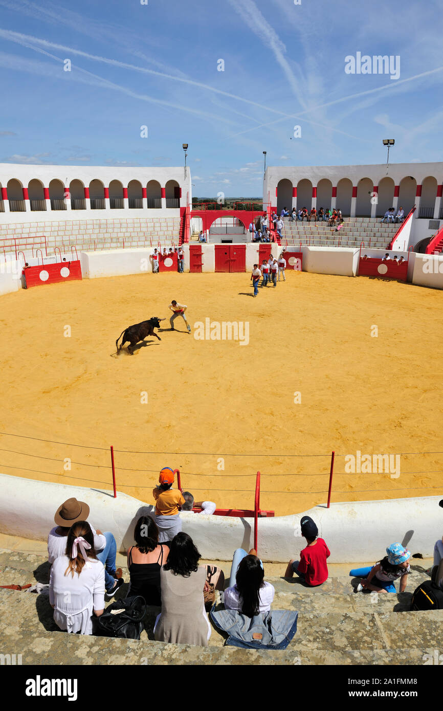 Bullfight training hi-res stock photography and images - Alamy