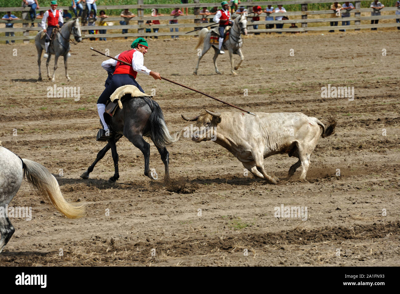 Campinos ribatejo hi-res stock photography and images - Alamy