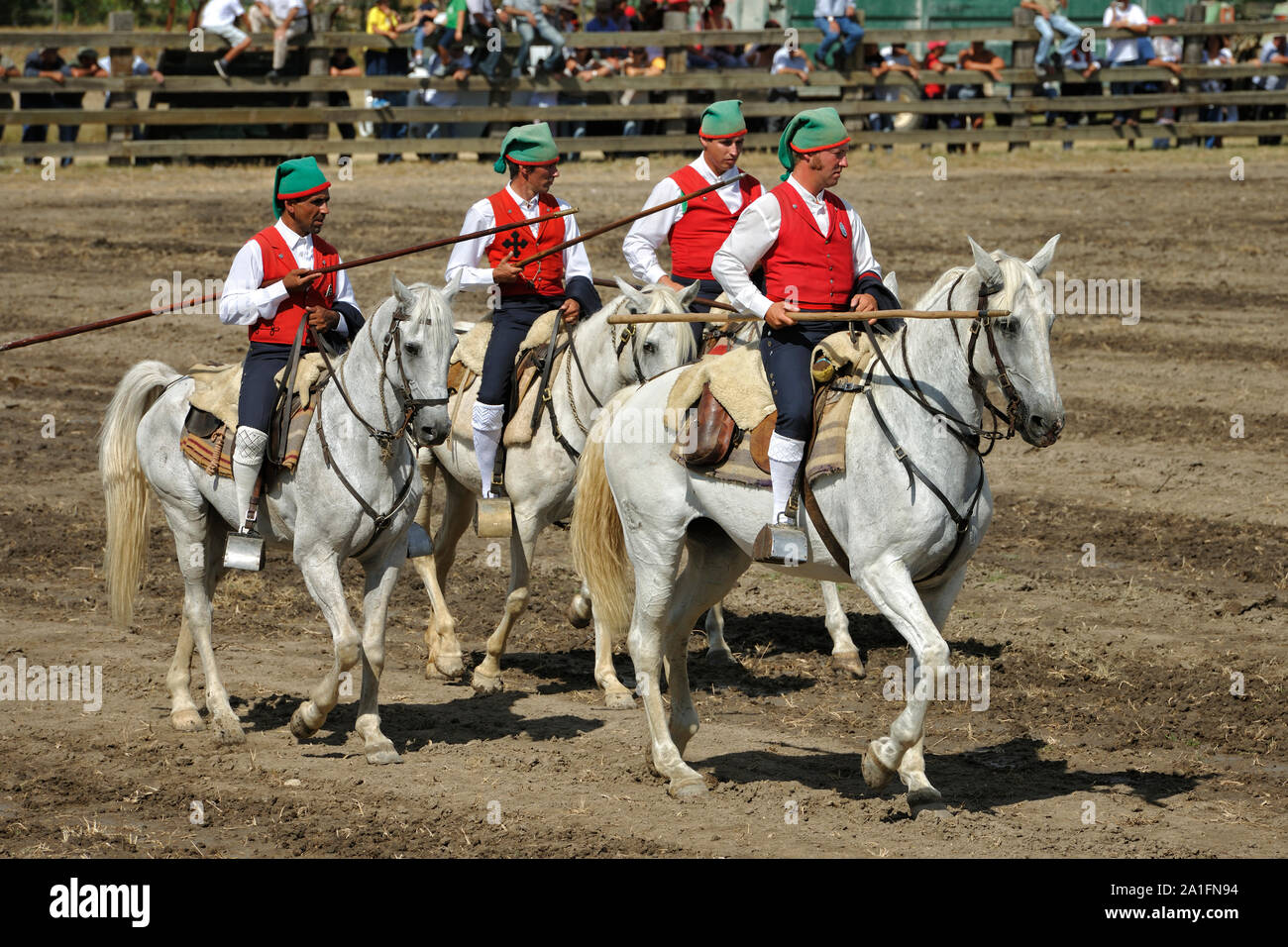 Traditional running of wild bulls by the "campinos". Samora Correia ...