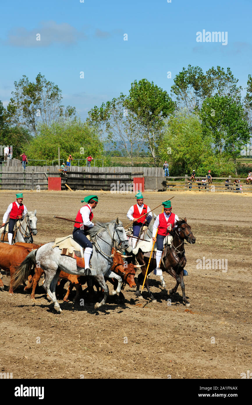 Running of the bulls outfit hi-res stock photography and images - Alamy
