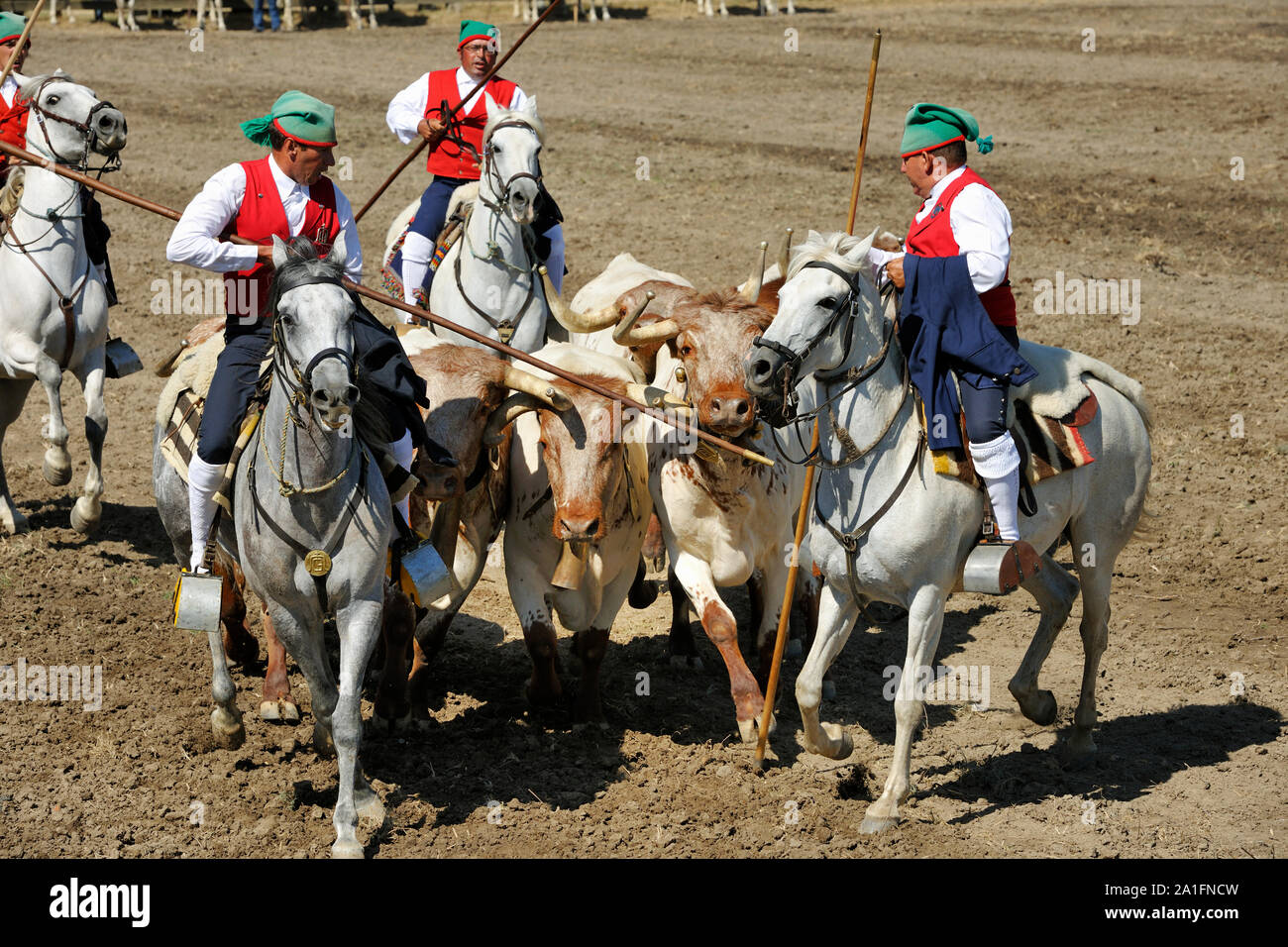 Campinos ribatejo hi-res stock photography and images - Alamy
