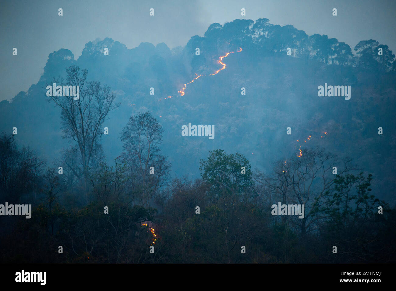 Forest fire above Thak village. Thak was made famous by Jim Corbett in ...
