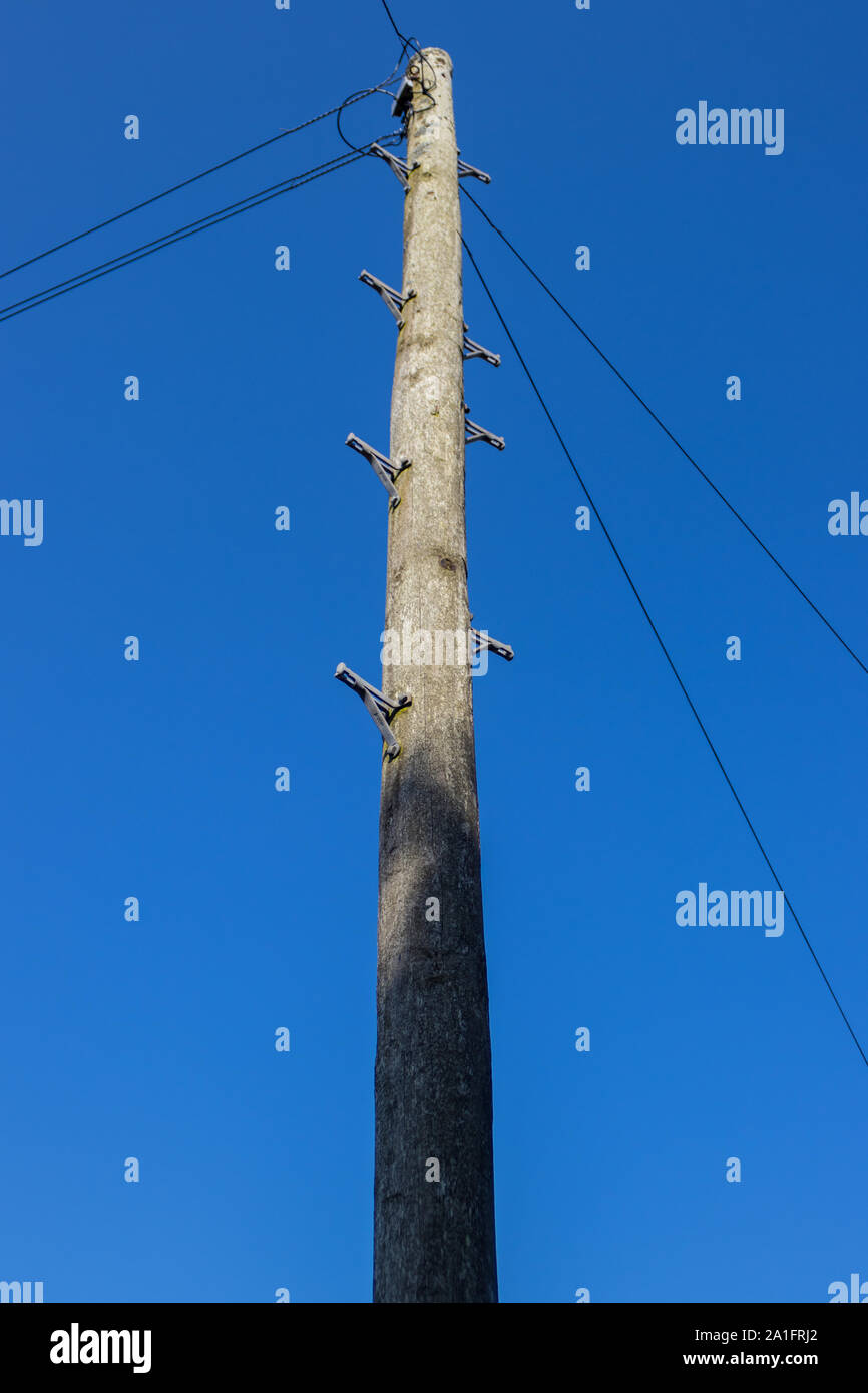 Wooden Telegraph Pole Uk High Resolution Stock Photography and Images ...