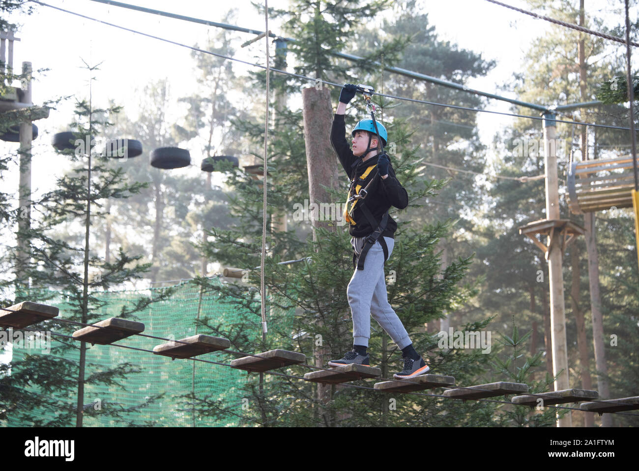 Treetop adventure park hi-res stock photography and images - Alamy