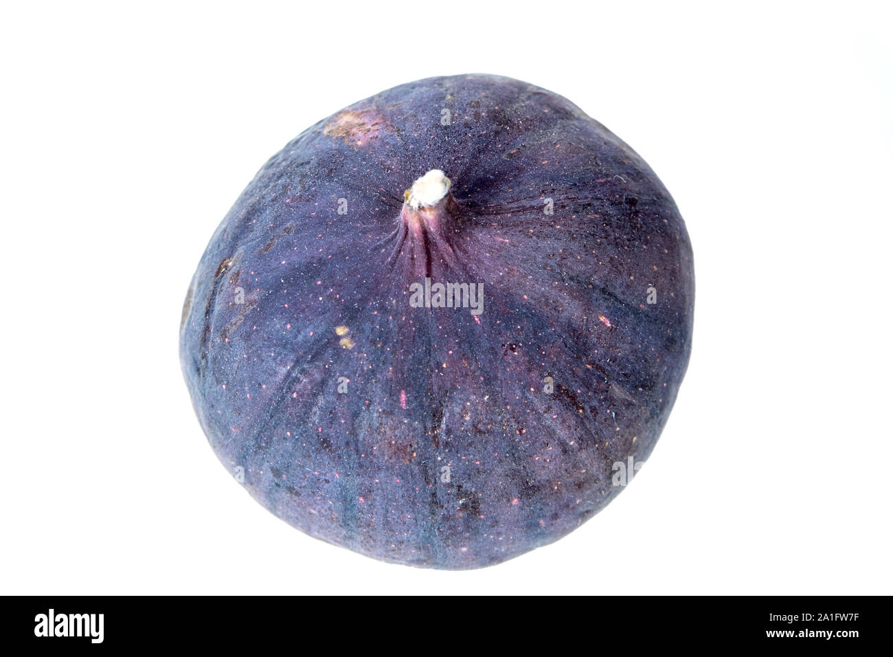 figs on white background Stock Photo - Alamy