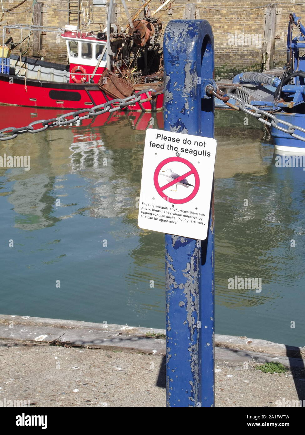 Seagull warning sign hi-res stock photography and images - Alamy