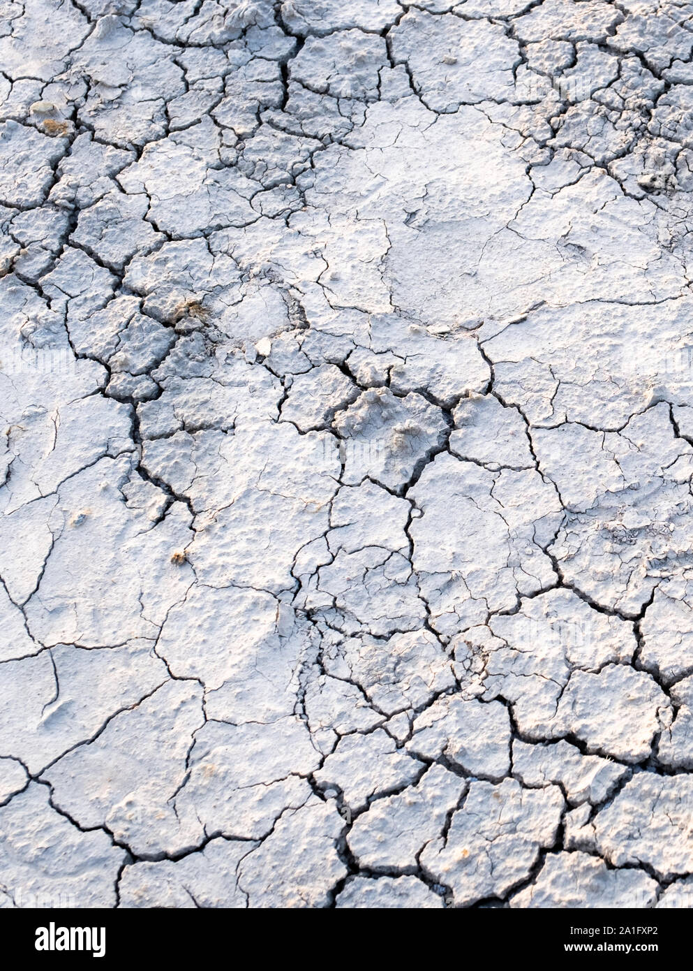 Dried ground with cracks. Grey land us a symbol ecological catastrophe ...