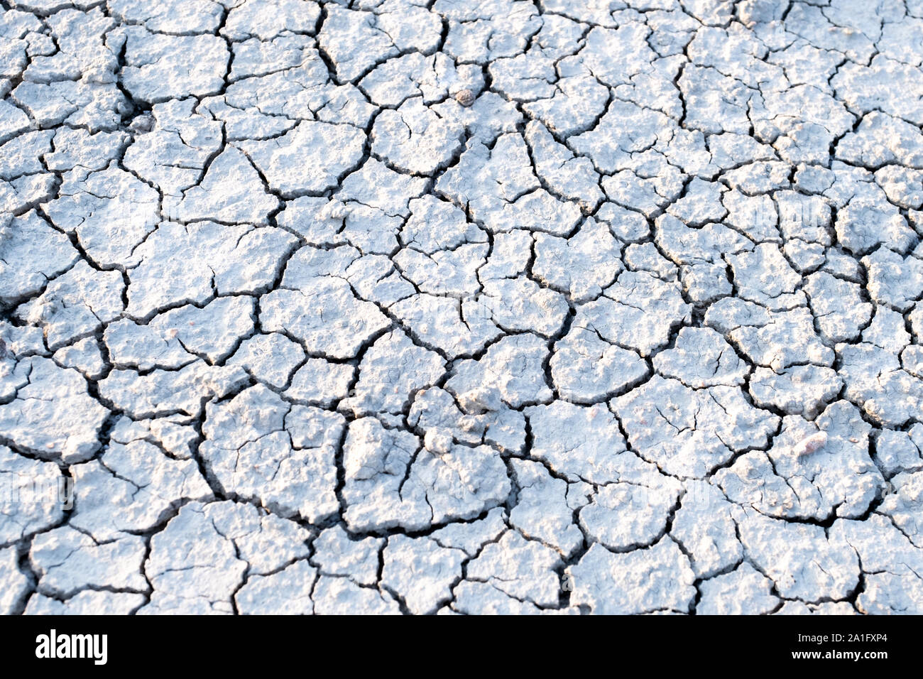 Dried ground with cracks. Grey land us a symbol ecological catastrophe ...