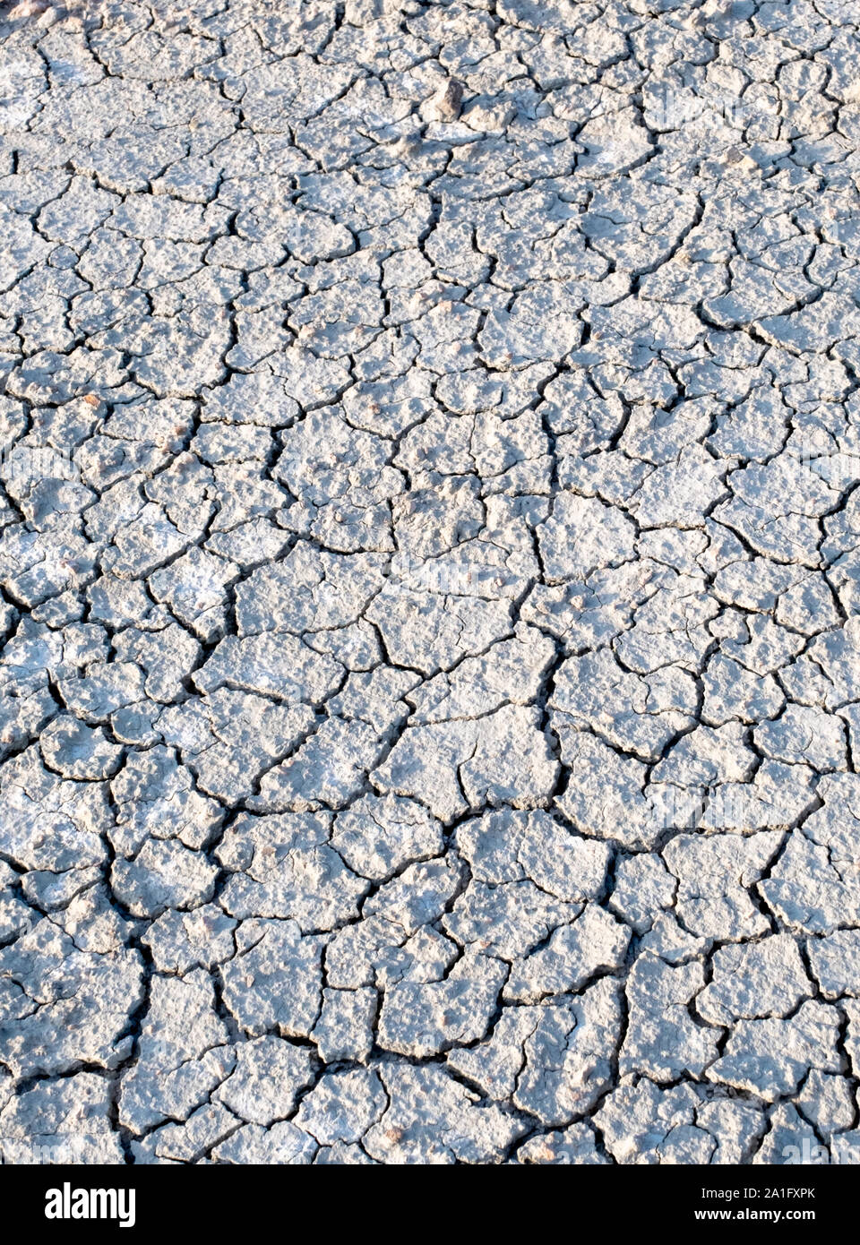 Dried ground with cracks. Grey land us a symbol ecological catastrophe ...