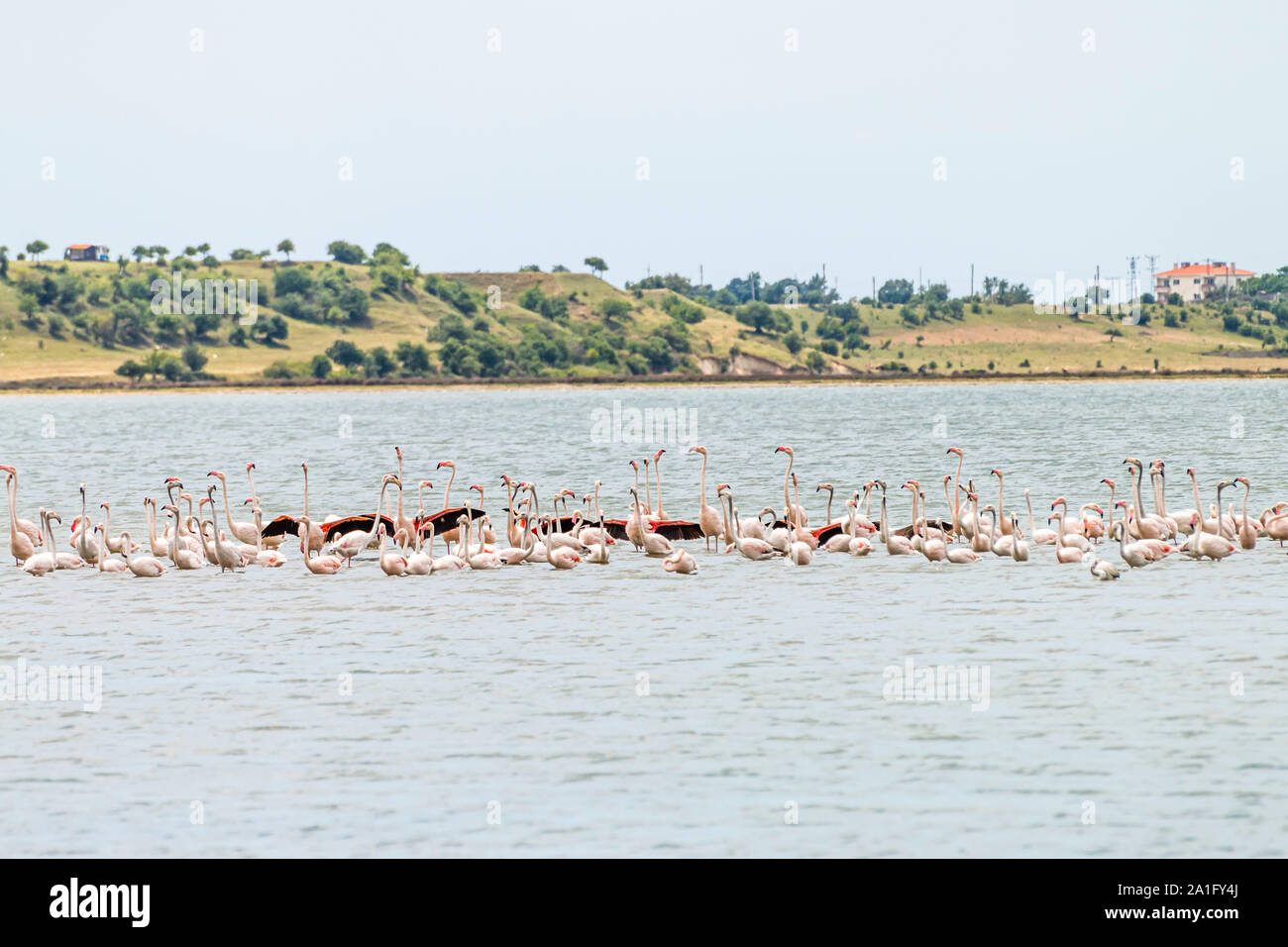Enez edirne turkey hi-res stock photography and images - Alamy