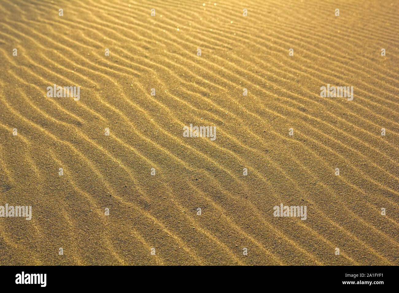 Barren (sand or sandy) bottom sea hi-res stock photography and images ...