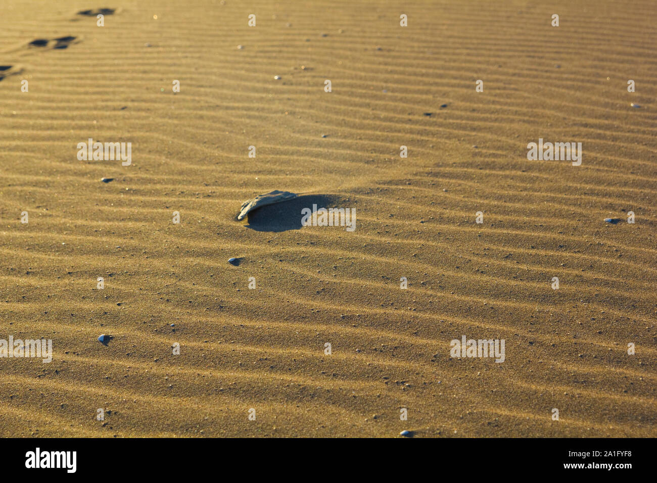 Sand on the beach. Focus from bottom to top Stock Photo - Alamy