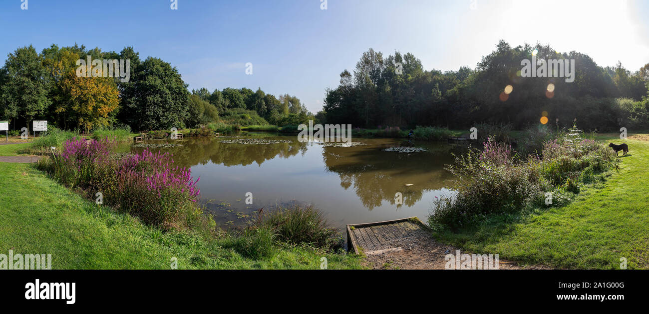 Panoramic view against the sun of Stanners Pool along the Sankey Valley ...